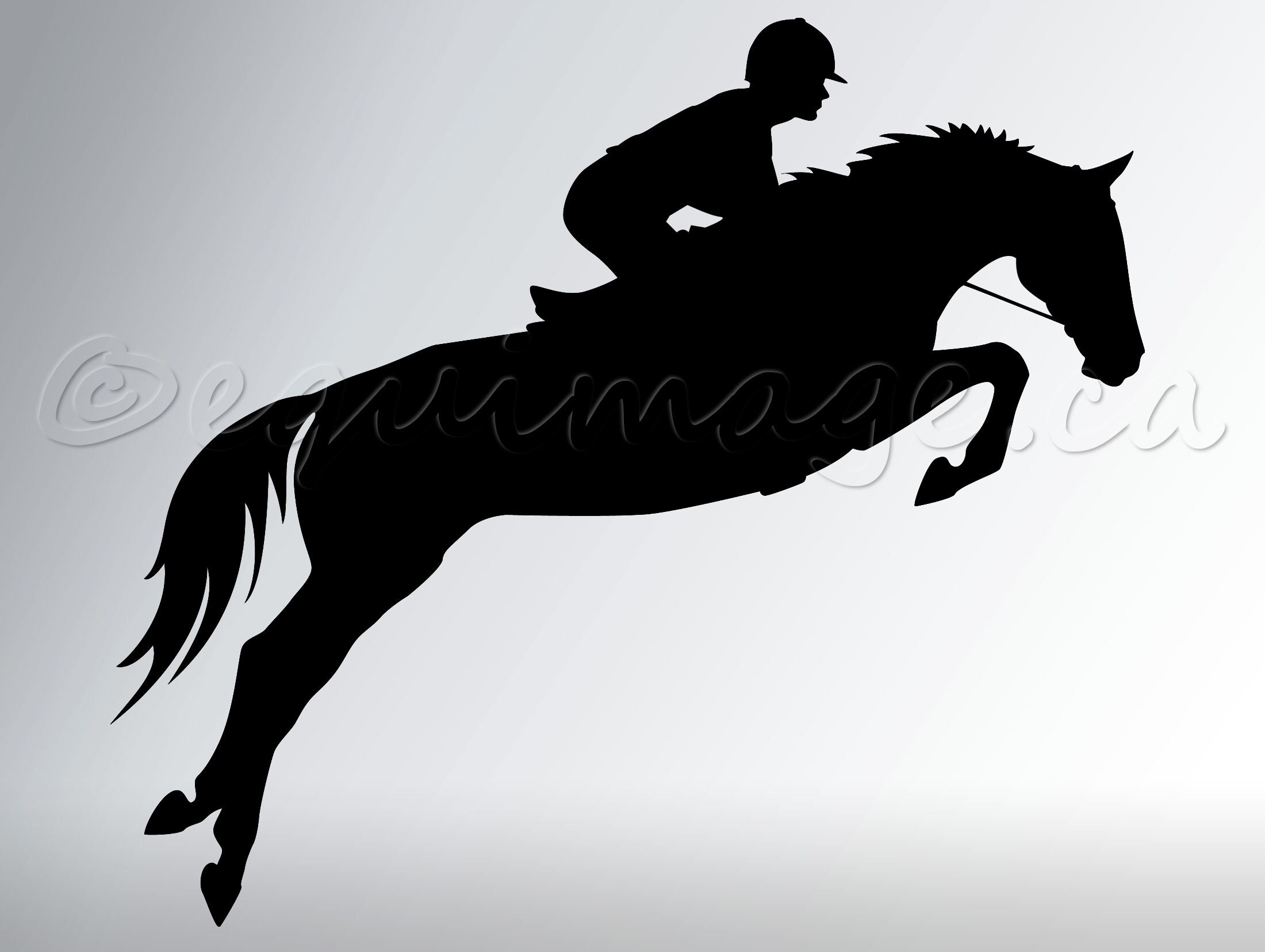 Jumper Rider Horse Vinyl Decal, Car Window Sticker, Design for Truck or ...