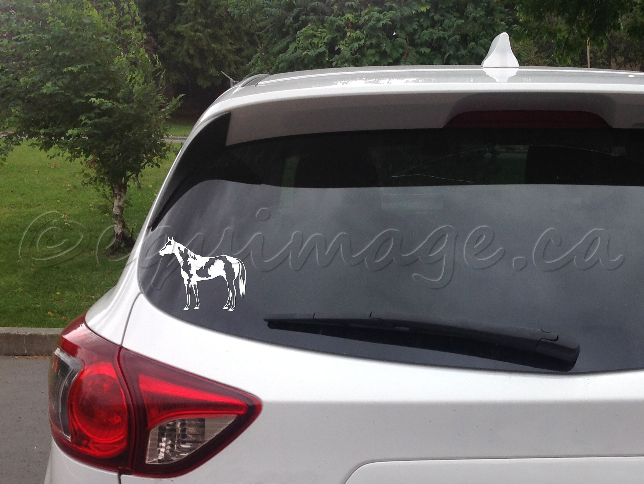 Paint Horse Vinyl Decal, Car Window Sticker, Design for Truck or ...
