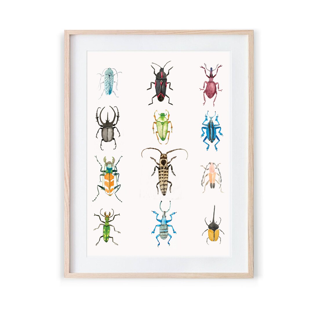 Insect Watercolor Print: Bugs Wall Art for Nursery (digital Download ...