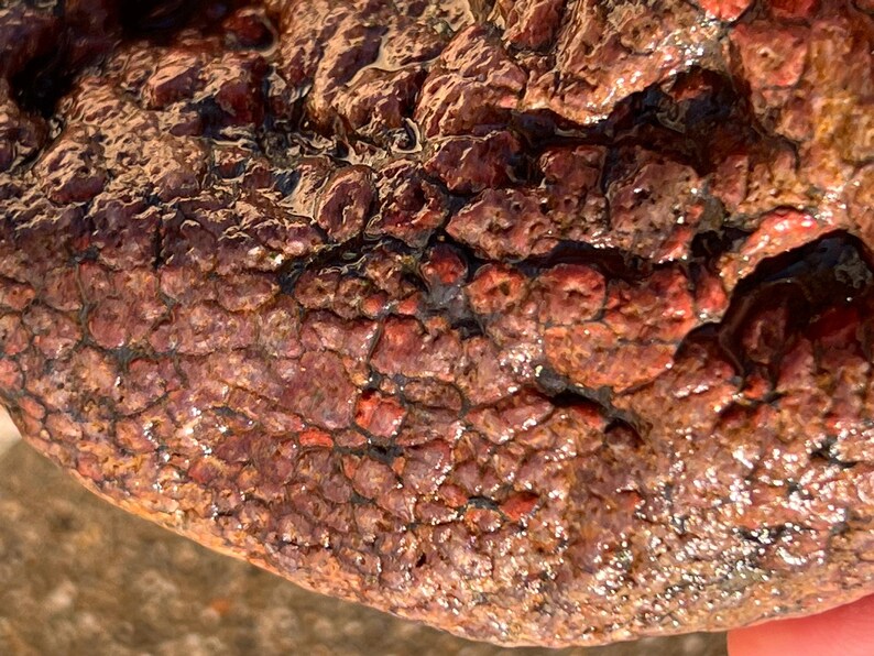 Poppy, Oolitic, Obicular Jasper Hematite Rough Raw Obicular Jasper Specularite Hematite Specimen ...