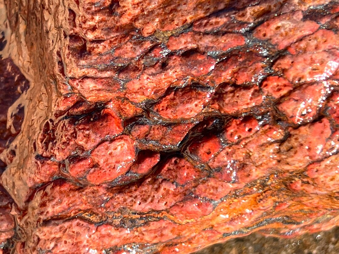 Poppy, Oolitic, Obicular Jasper Hematite Rough Raw Obicular Jasper ...