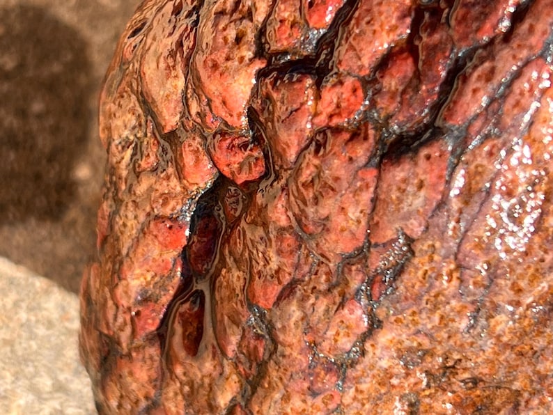 Poppy, Oolitic, Obicular Jasper Hematite Rough Raw Obicular Jasper ...