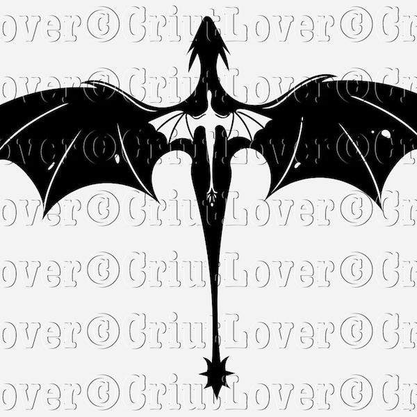 Fourth Wing Stickers - Etsy