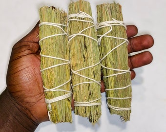 Dried Cucumbers Dehydrated Cucumber Slices Healthy Snacks Southwest ...