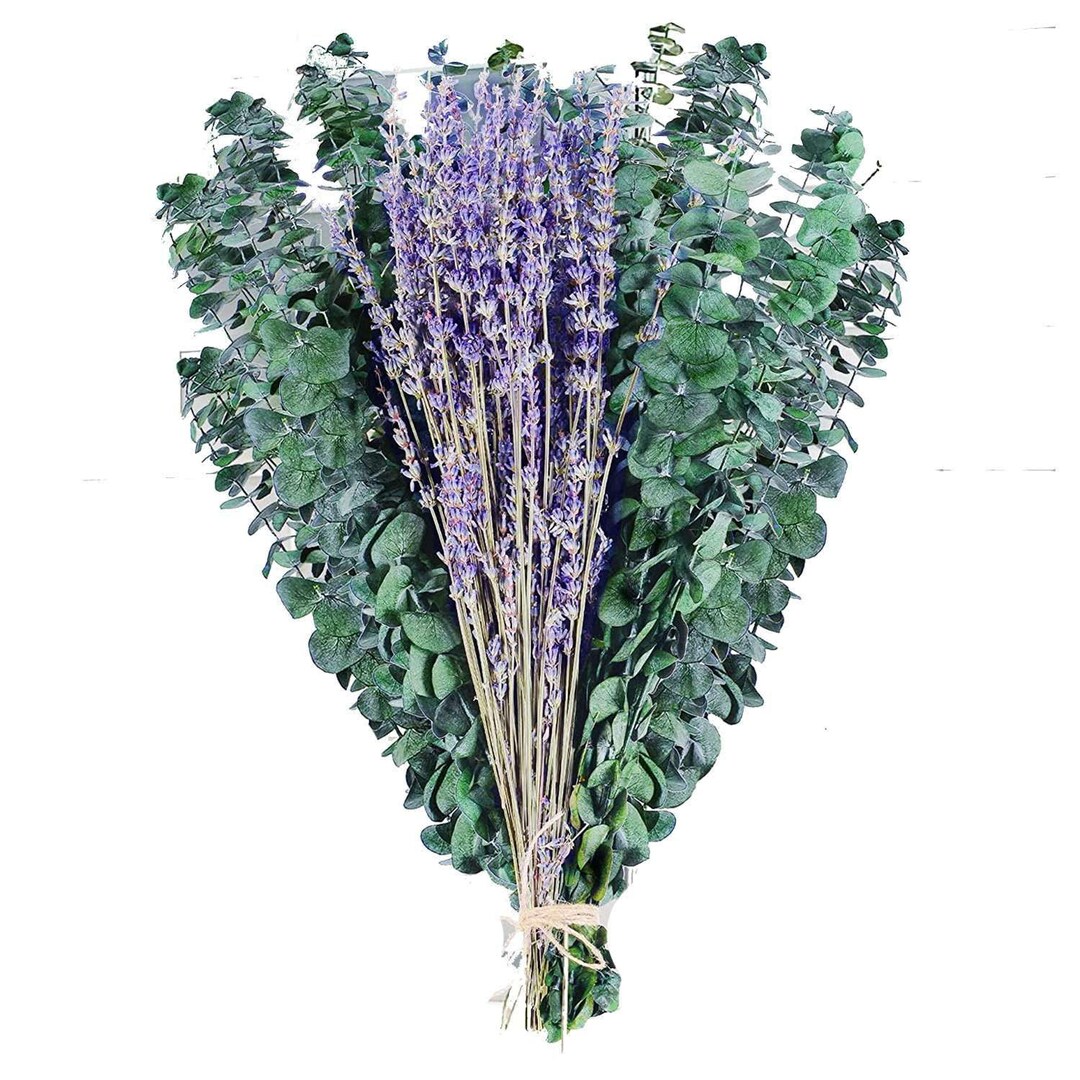 Dried Eucalyptus Bundles Shower Eucalyptus With Lavender Aromatherapy ...