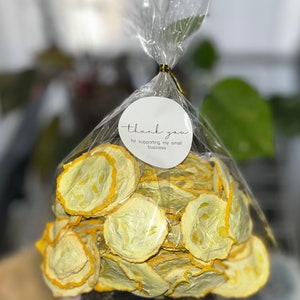 Dehydrated Squash Chips Dried Squash Chips Healthy Snacks Lemon Pepper ...