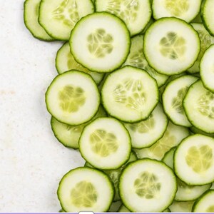 Dried Cucumbers Dehydrated Cucumber Slices Healthy Snacks Southwest ...