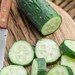 Dried Cucumbers Dehydrated Cucumber Slices Healthy Snacks Southwest ...