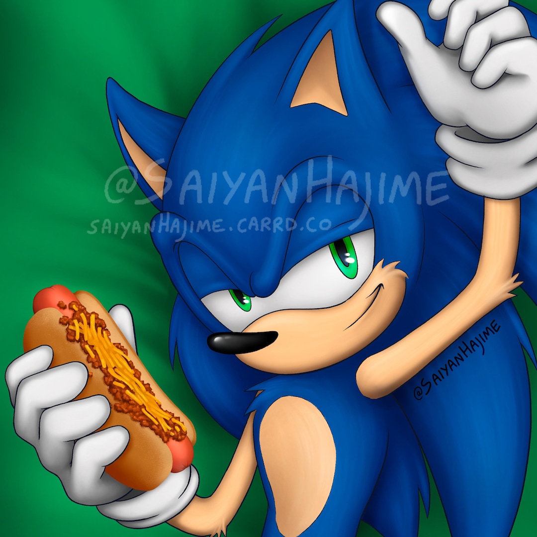 Sonic and Chilidog Body Pillow, Furry Dakimakura Pillowcase, Sonic Daki - Etsy
