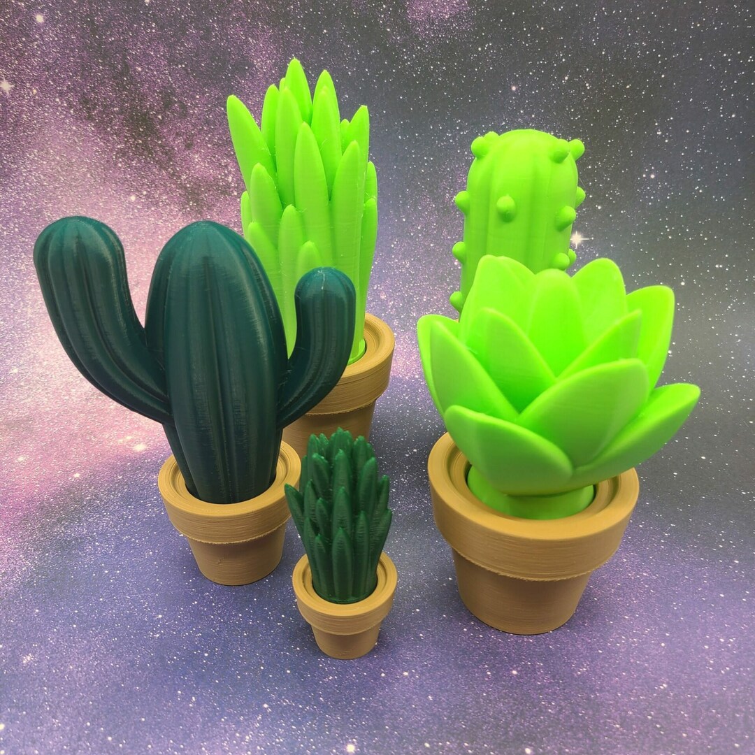 3D Printed Cactus Plants in Pots - Cute and Low Maintenance! - Etsy