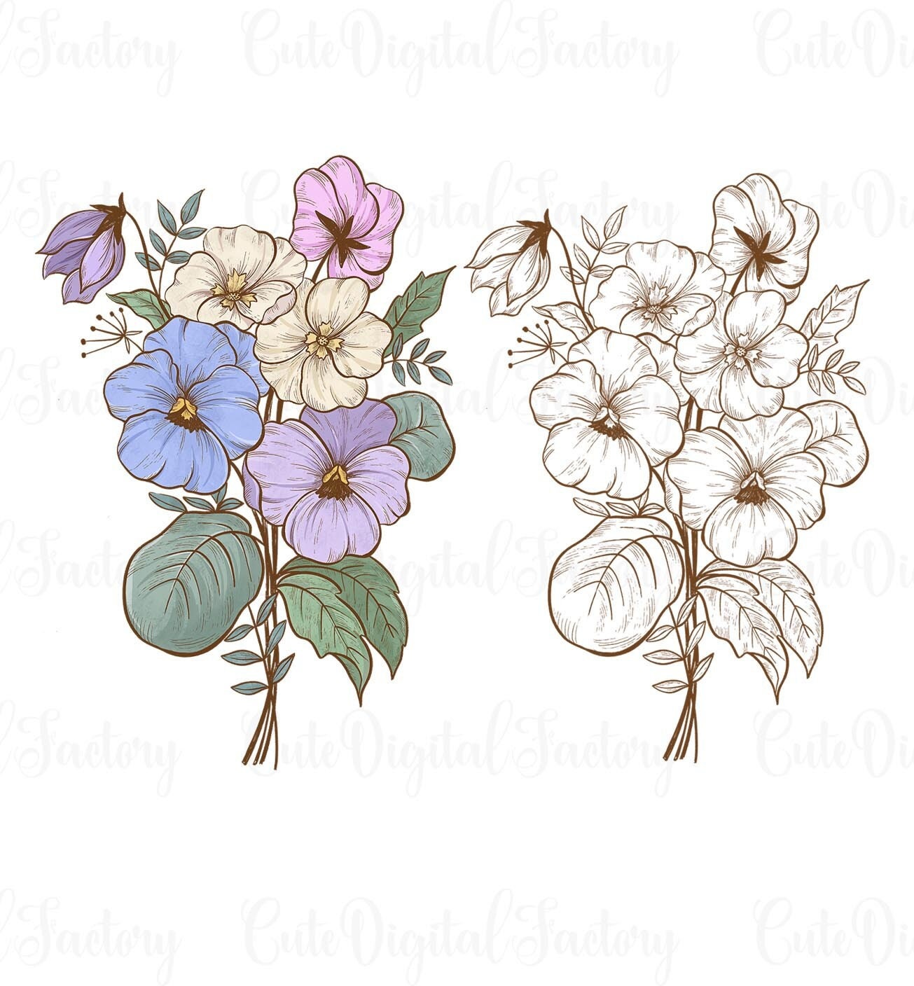 Viola Flower Png
