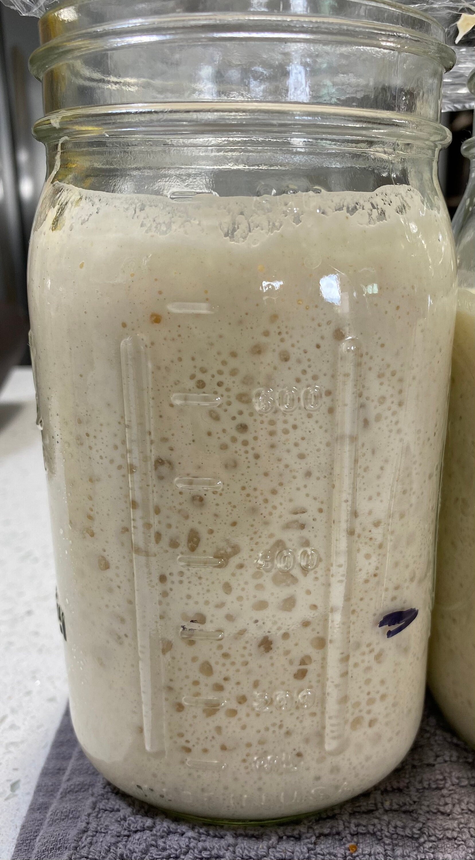 Sourdough Starter Extremely Active | Etsy