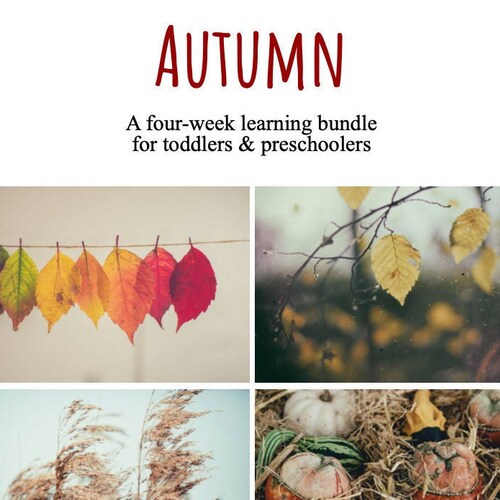 Into Autumn Fall Themed Bundle for Early Learners Digital | Etsy