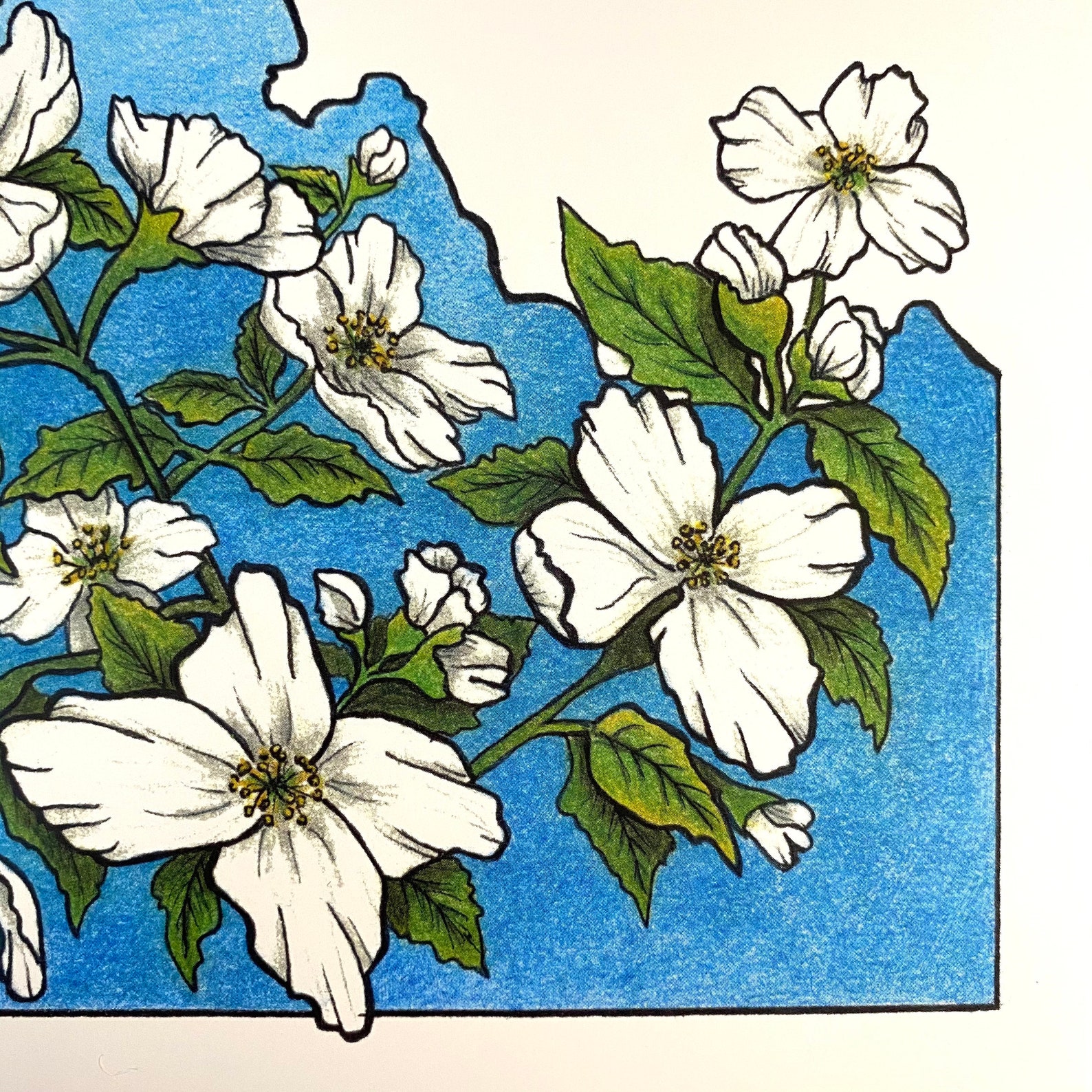 Idaho State Print With State Flower wall Art Decor Hand - Etsy UK