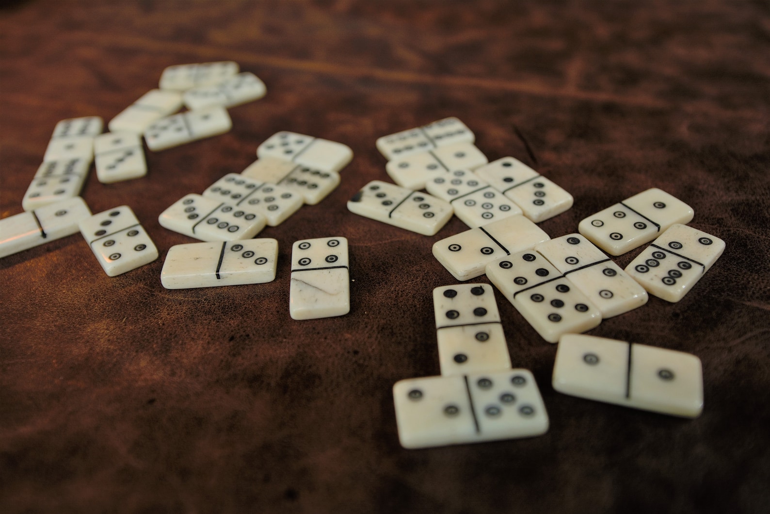 UNIQUE Medieval Bone Domino Set double Six SCA Creative | Etsy