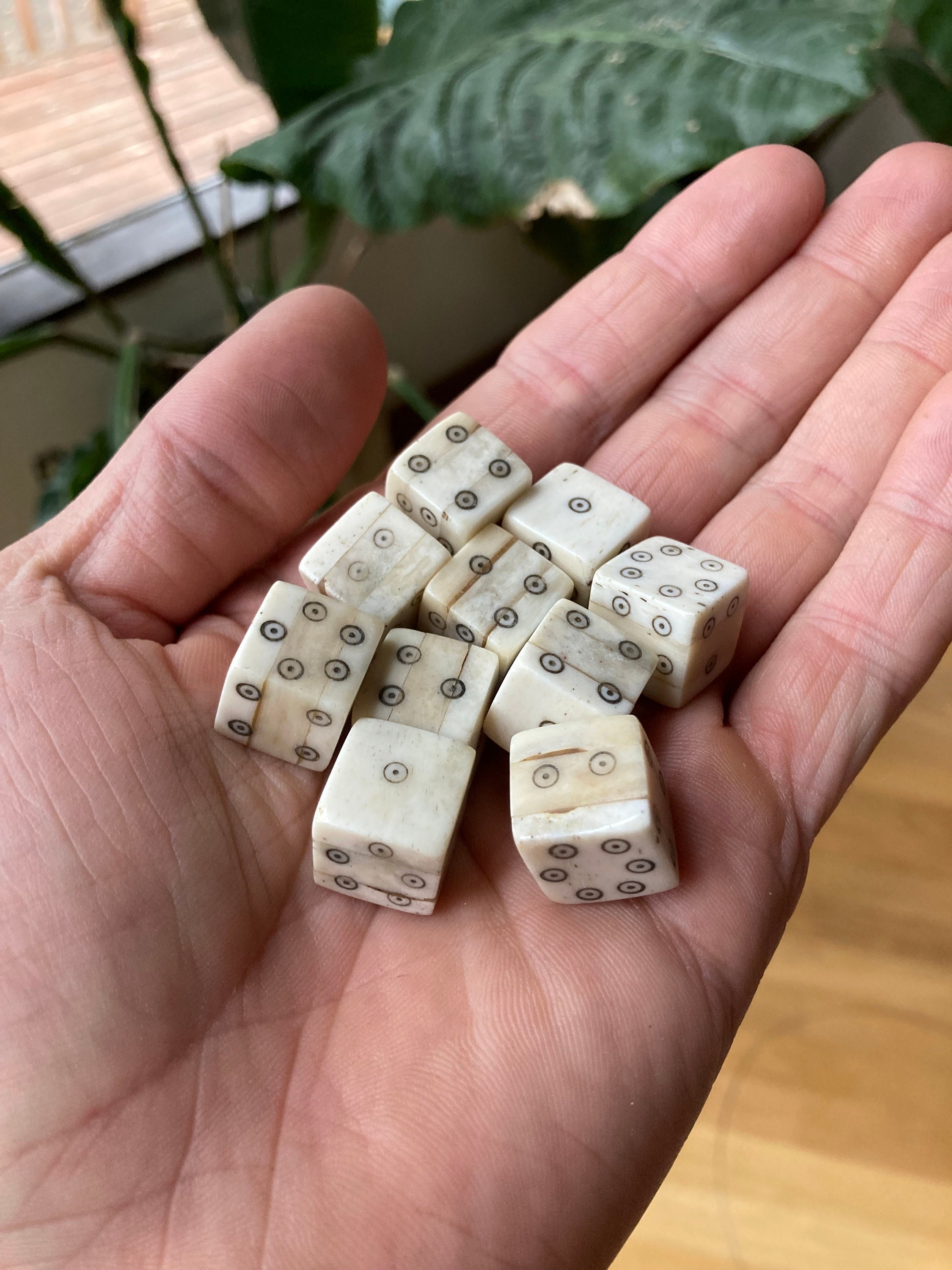 UNIQUE Pip Design Large Medieval Bone Dice Set qty 5 Mat - Etsy