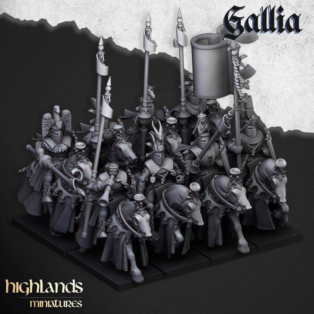Royal Knights of Gallia - 28mm Scale - Knights of the Realm - Unit of 8 ...