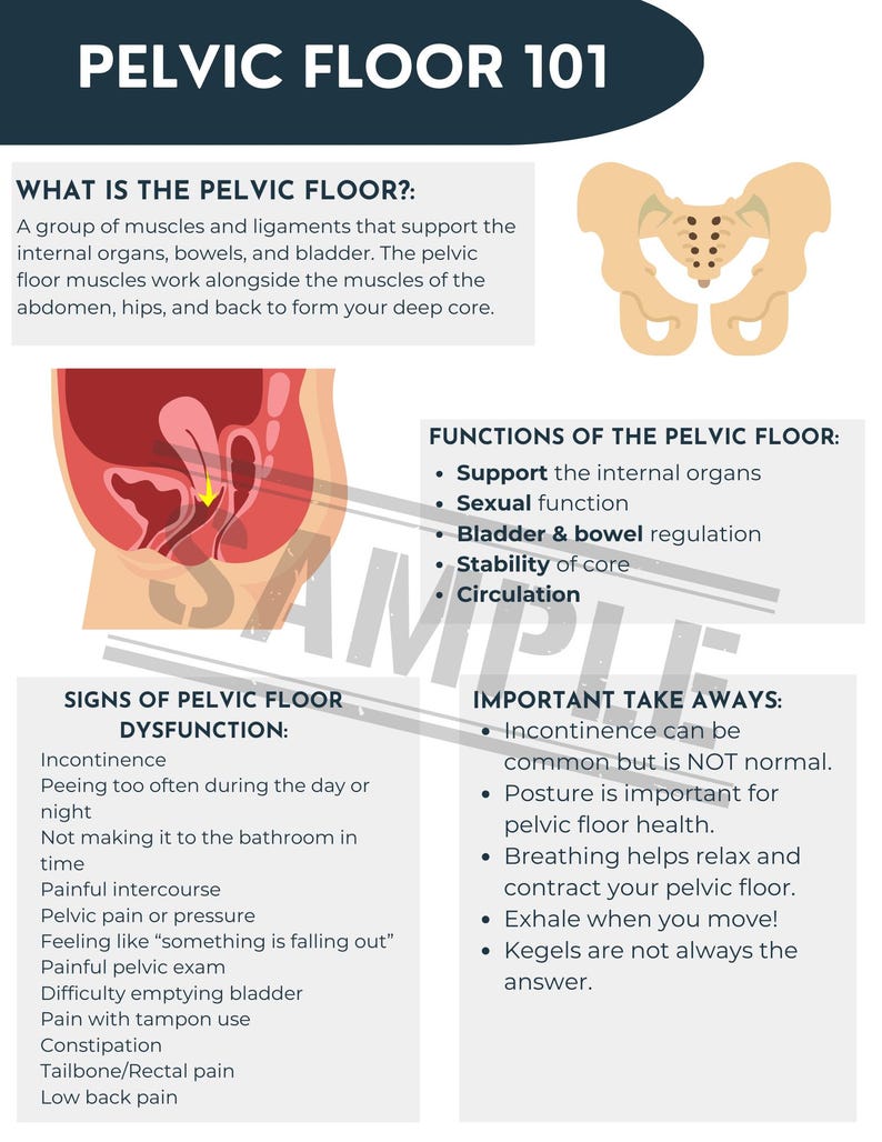 Pelvic Floor 101 Flyer; Pelvic Floor Marketing Flyer - Etsy
