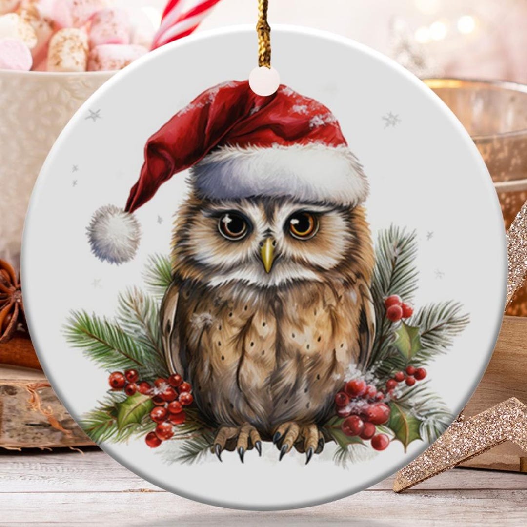 Owl Christmas Ornament, Cute Owl Decor, Holiday Ornament, Santa Owl ...