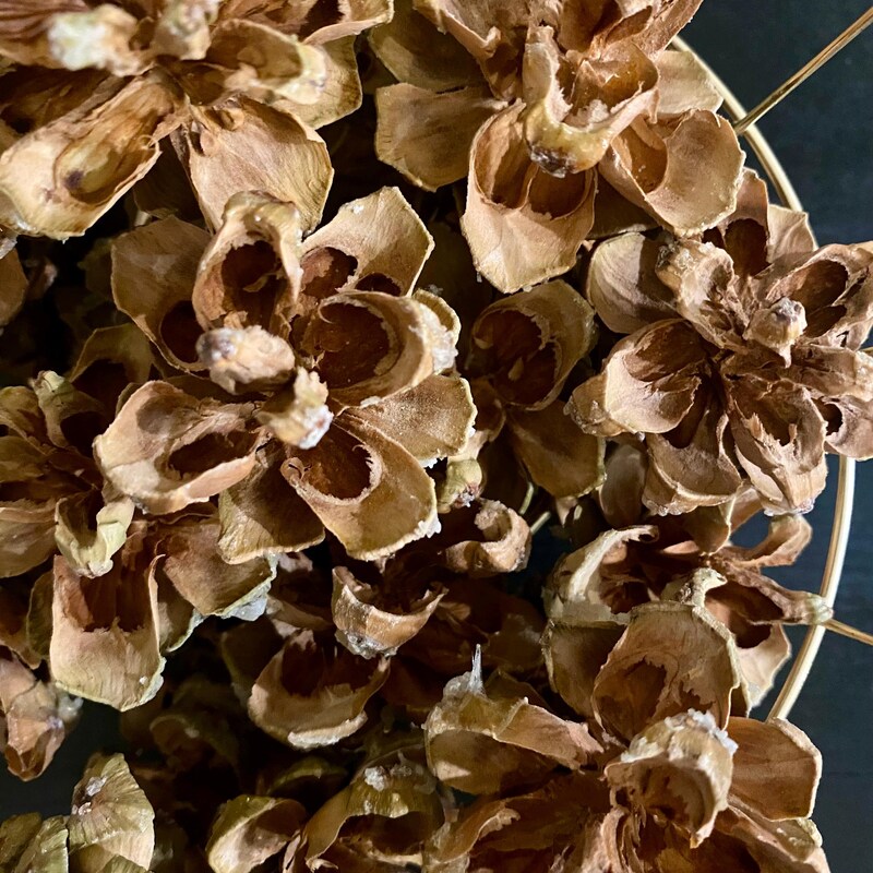 Pine Cone Bouquets - Etsy