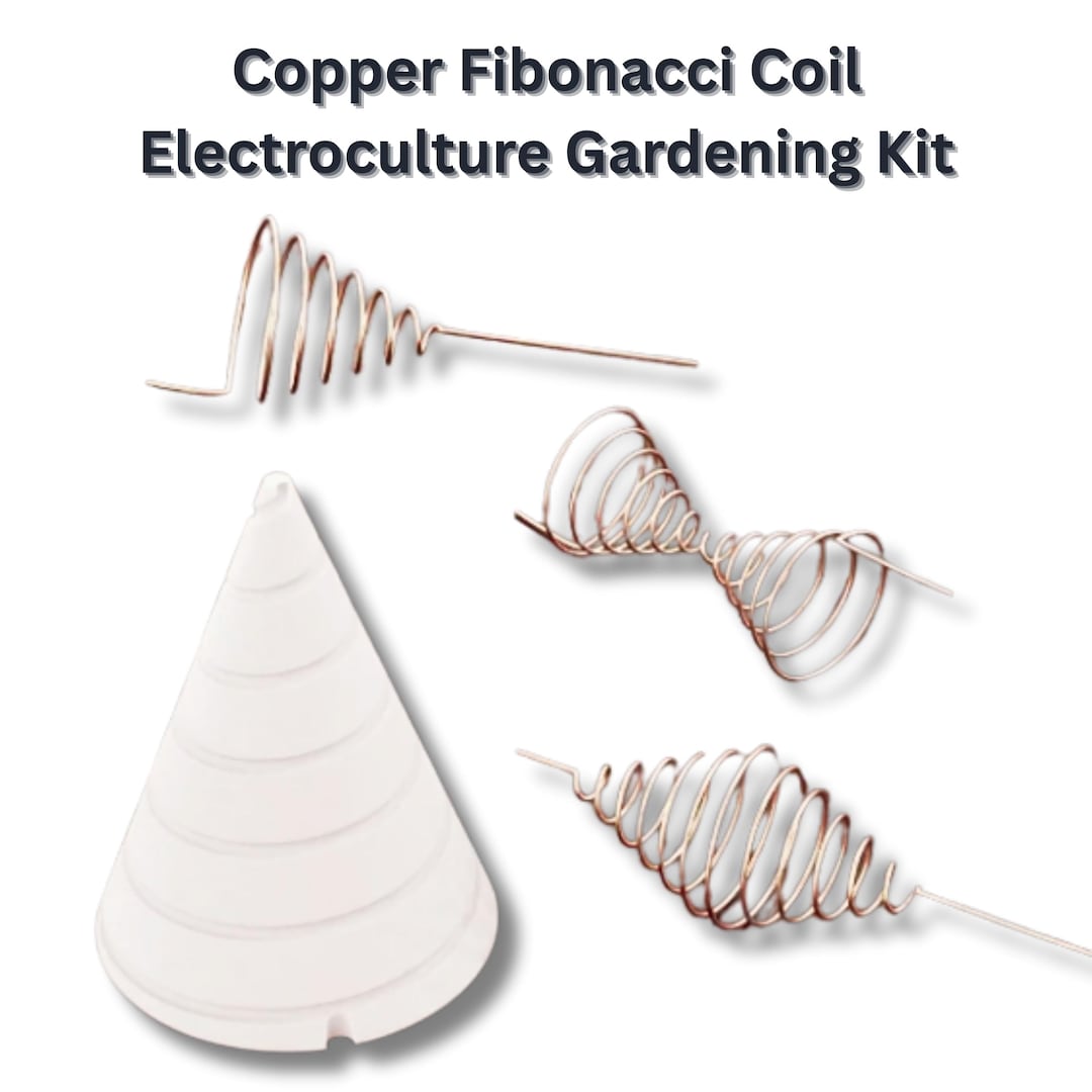 Copper Plant Stakes. Electroculture Copper Fibonacci Coil Gardening ...