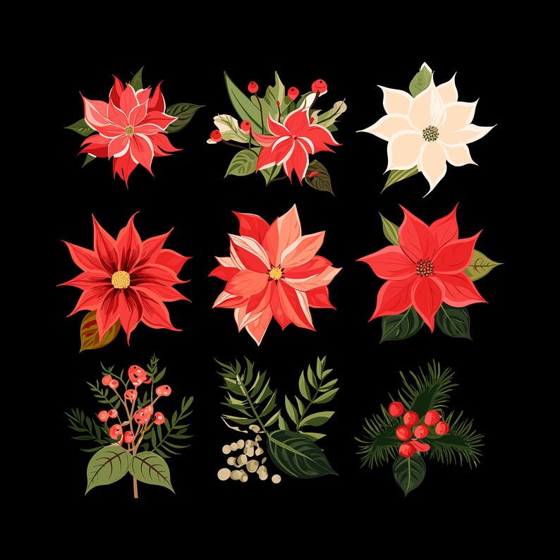 Premium Xmas Flowers PNG, Christmas Flowers SVG, Xmas Floral Art ...
