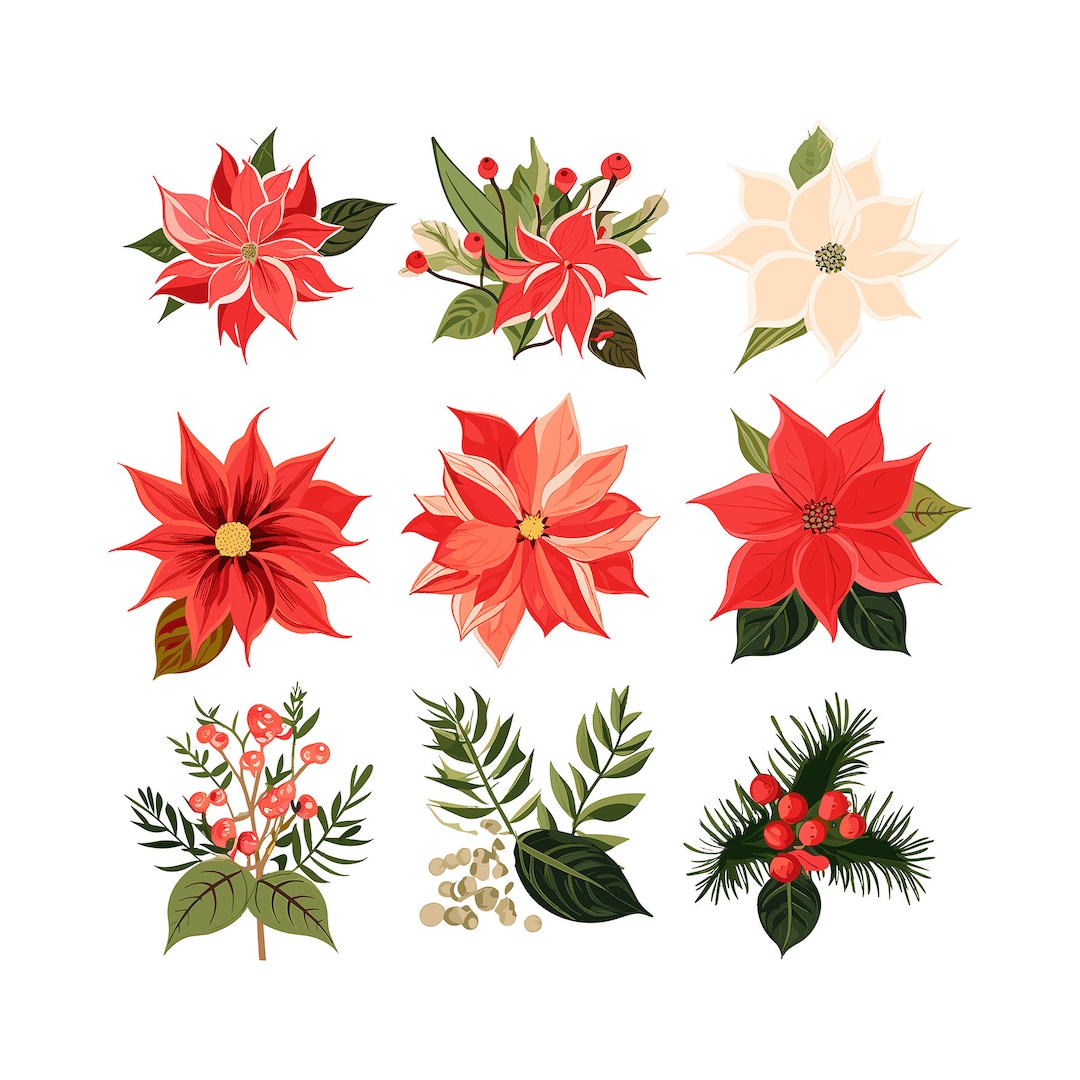 Premium Xmas Flowers PNG, Christmas Flowers SVG, Xmas Floral Art ...