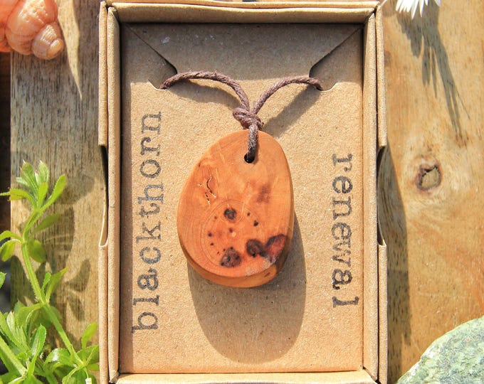 Blackthorn Wood Pendant. Boundaries. Protection. Hand Carved. Hemp Cord ...