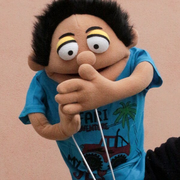 Professional Puppet - Etsy