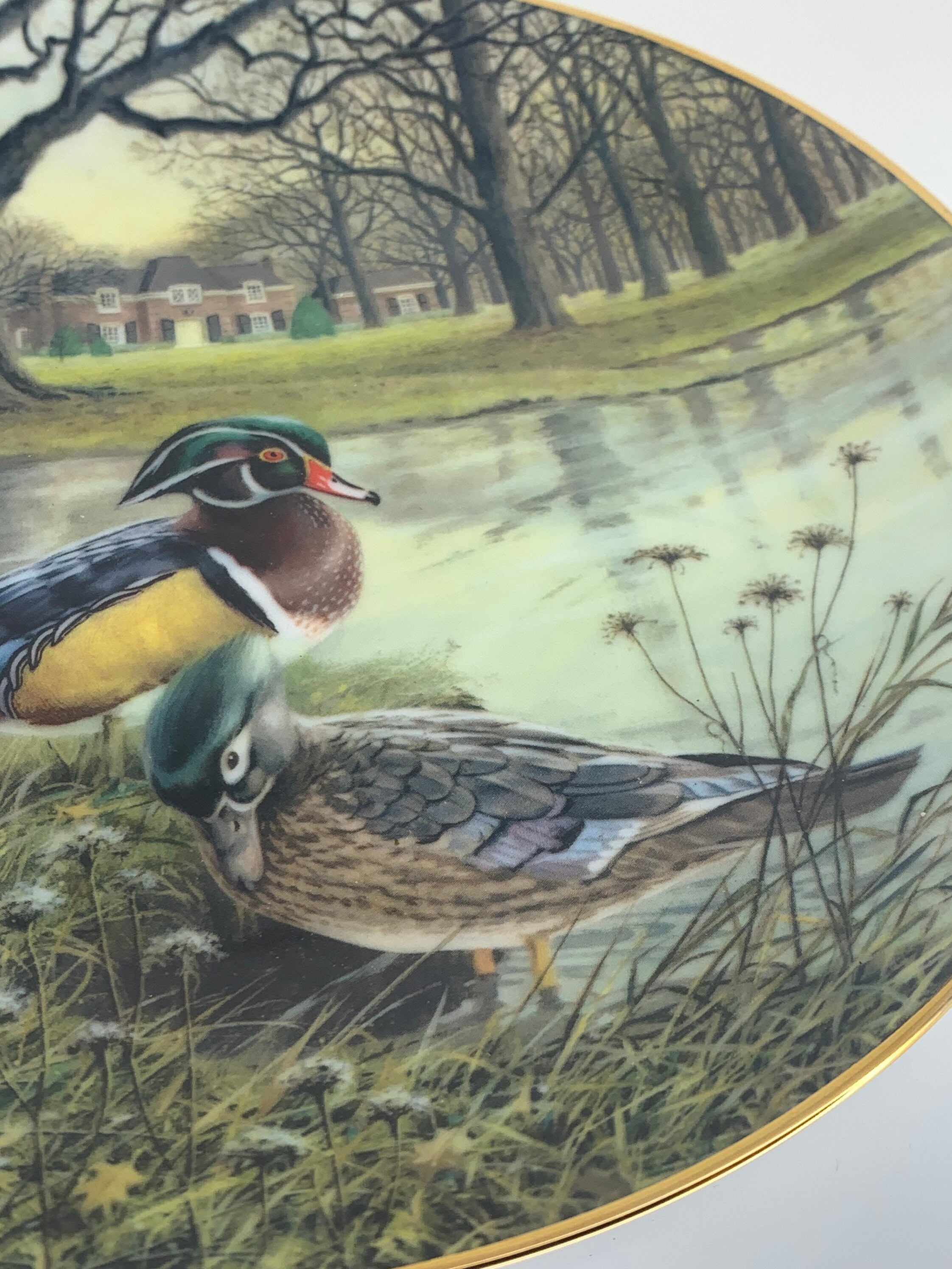 Bart Jenners The Wood Duck collectible plate | Etsy