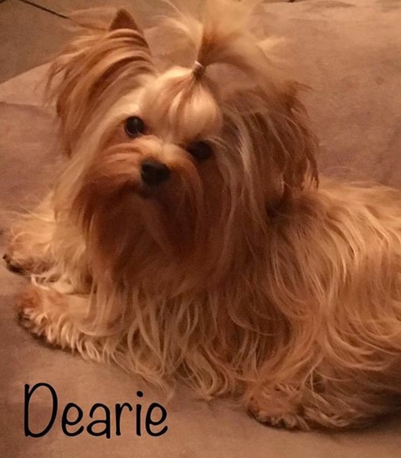 FFREYA: One of a Kind Welsh Fairy Sculpture Handmade Art Doll Gift for ...