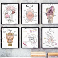 Printable Speech Therapy Poster Set, 30 Unique Designs, Colorful Fun ...