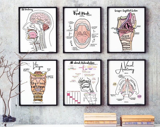 SLP Essential Posters Set of 6 A&P, Articulation, and Oral Mech ...