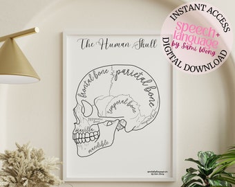 Anatomy & Physiology SLP Labeled Posters Set of 3 Speechie - Etsy