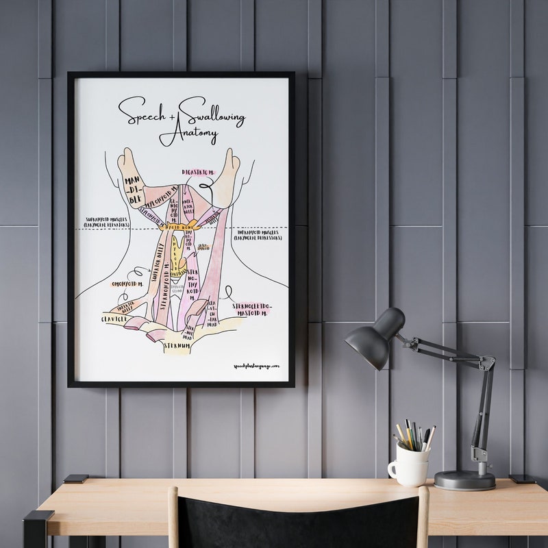 Speech Anatomy Art - Etsy