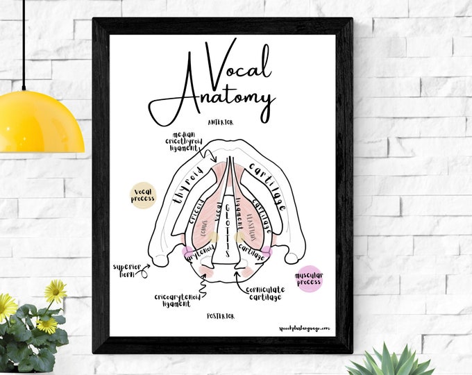 Larynx Coloring Page - Etsy Canada