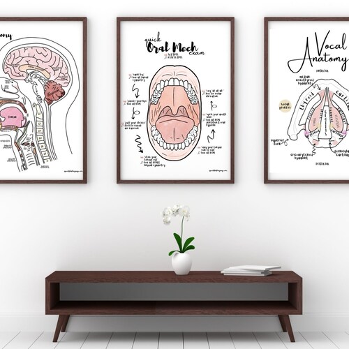 Oral Mech Anatomy & Physiology SLP Labeled Posters Set of - Etsy