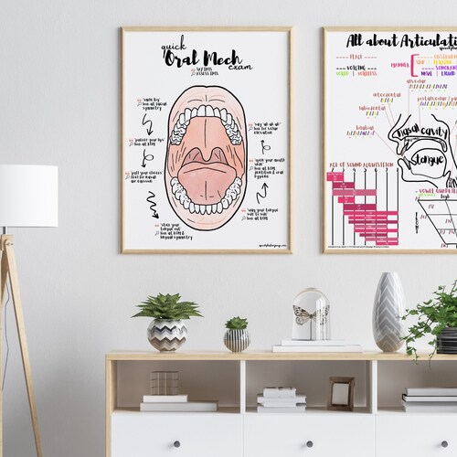 Anatomy & Physiology SLP Labeled Posters Set of 3 Speechie - Etsy
