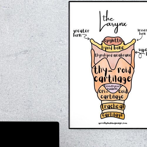 Anatomy & Physiology Larynx Labeled Poster SLP Essential | Etsy
