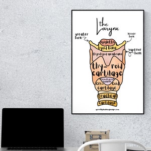 Anatomy & Physiology Larynx Labeled Poster SLP Essential | Etsy UK