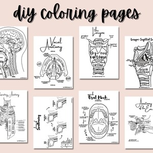 DIY SLP Anatomy + Physiology Study Help Coloring Pages - Set of 8 ...