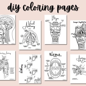 DIY SLP Anatomy Physiology Study Help Coloring Pages Set of 8 Speechie ...