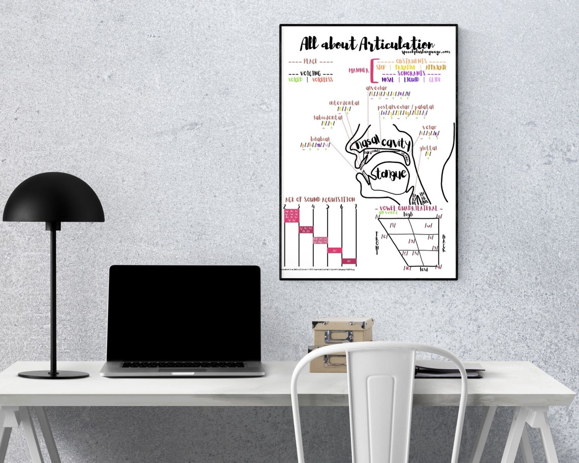 Anatomy Articulation SLP Labeled Posters Set of 2 SLP - Etsy