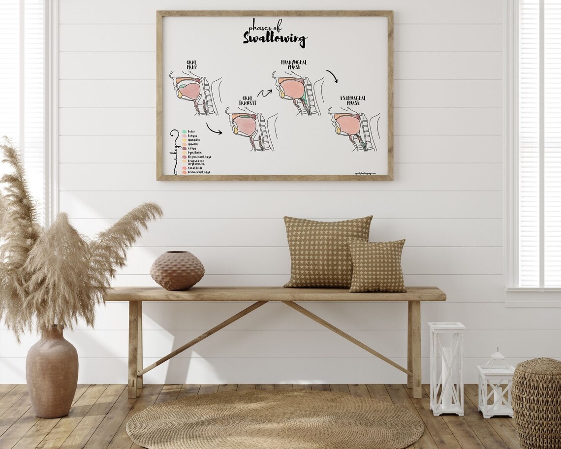 Phases of Swallowing Art Print, Speech Therapy Poster, SLP Decor ...
