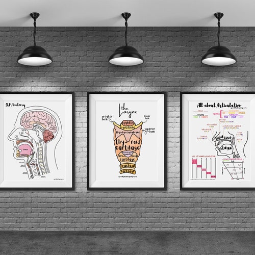 Anatomy & Physiology SLP Labeled Posters Set of 3 Speechie - Etsy