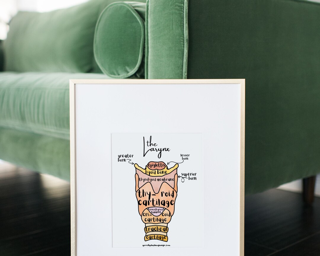 Anatomy & Physiology Larynx Labeled Poster | SLP Essential Educational ...