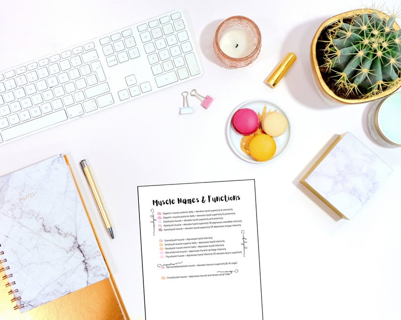 Anatomy & Physiology: Speech and Swallowing Muscles Labeled Diagram ...
