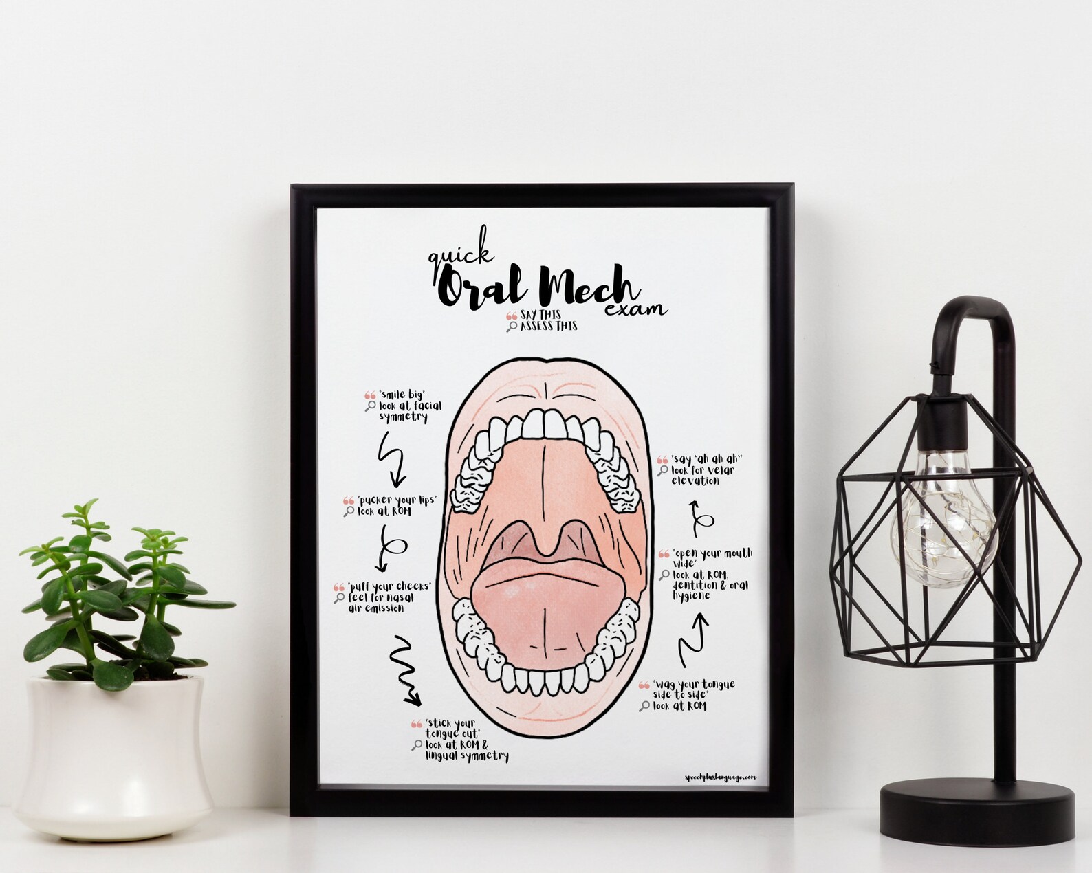 Oral Mech Anatomy & Physiology SLP Labeled Posters Set of 3 Speechie ...