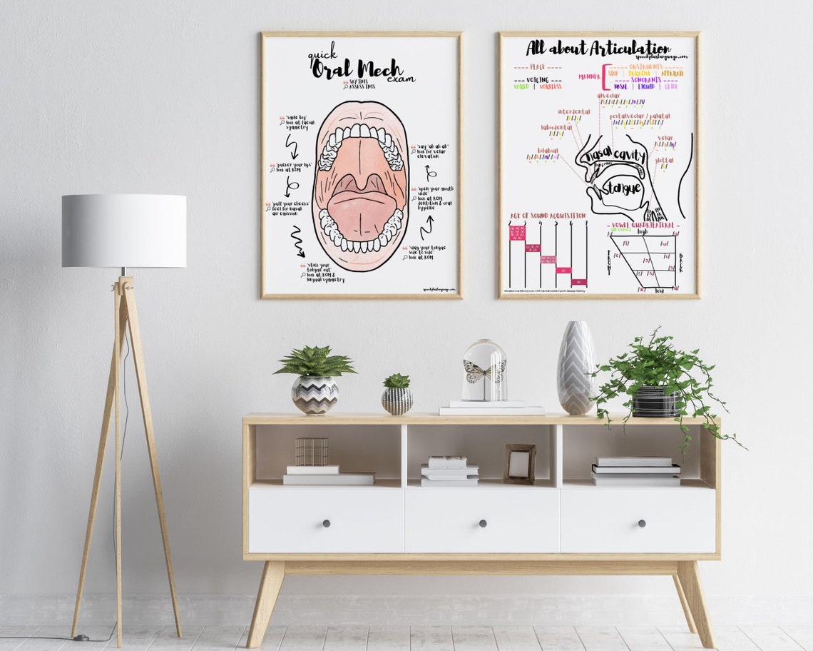 Anatomy Articulation SLP Labeled Posters Set of 2 SLP - Etsy