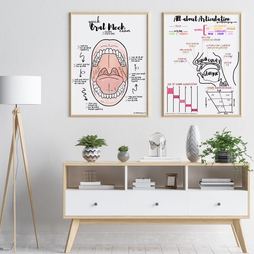 Anatomy Articulation SLP Labeled Posters Set of 2 SLP - Etsy